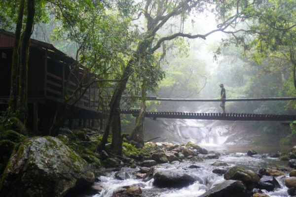 Haenertsburg travel guide: Limpopo’s Misty Mountain Village